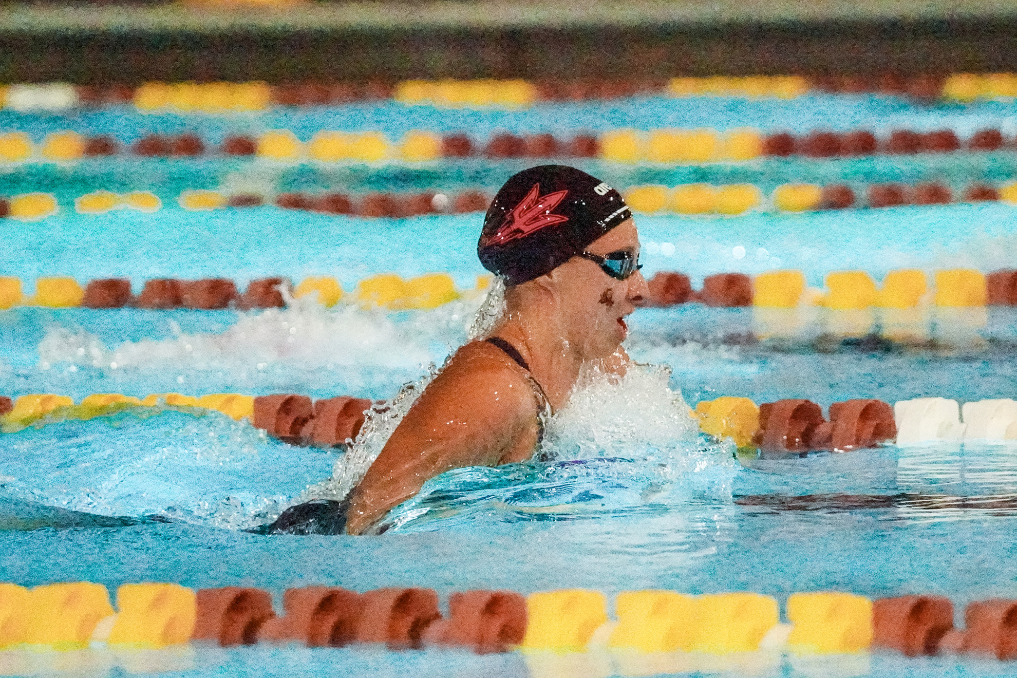 #3/18 Swim and Dive returns home with a pair of meets hosting #23 UCLA ...