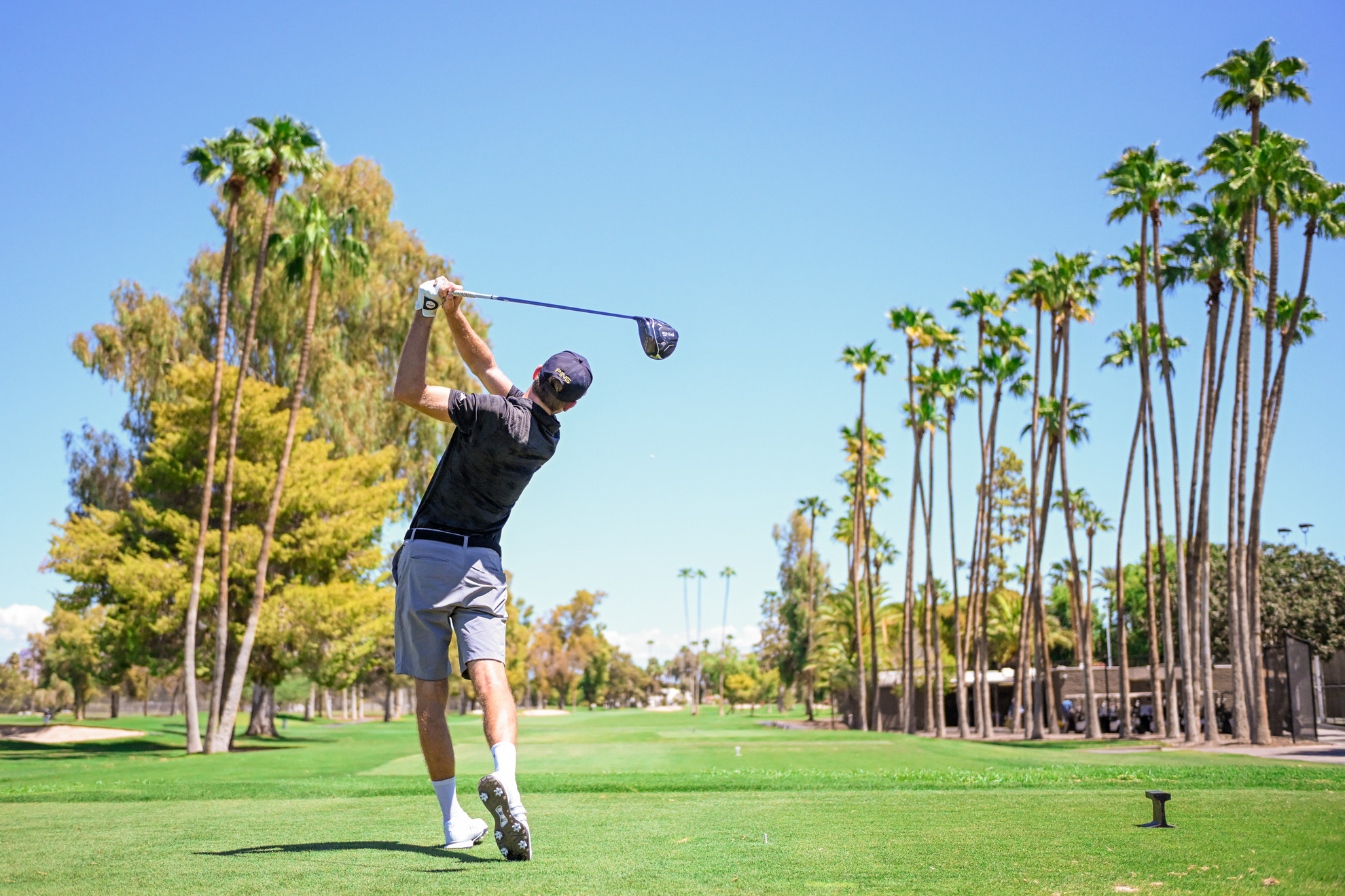 All-Americans Connor Williams and Michael Mjaaseth lead men's golf on ...