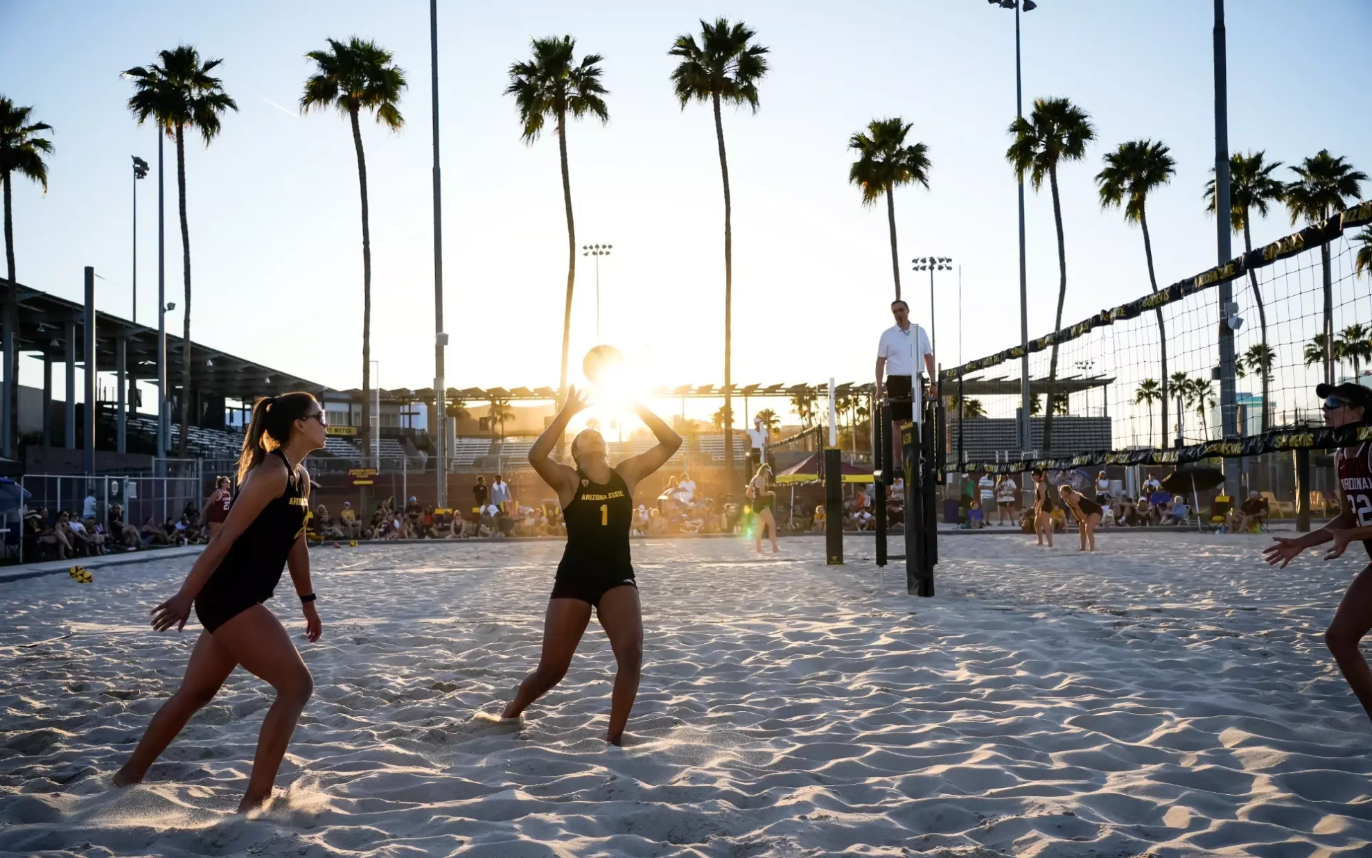 Sand Devils Announce 2024 Additions - Sun Devil Athletics