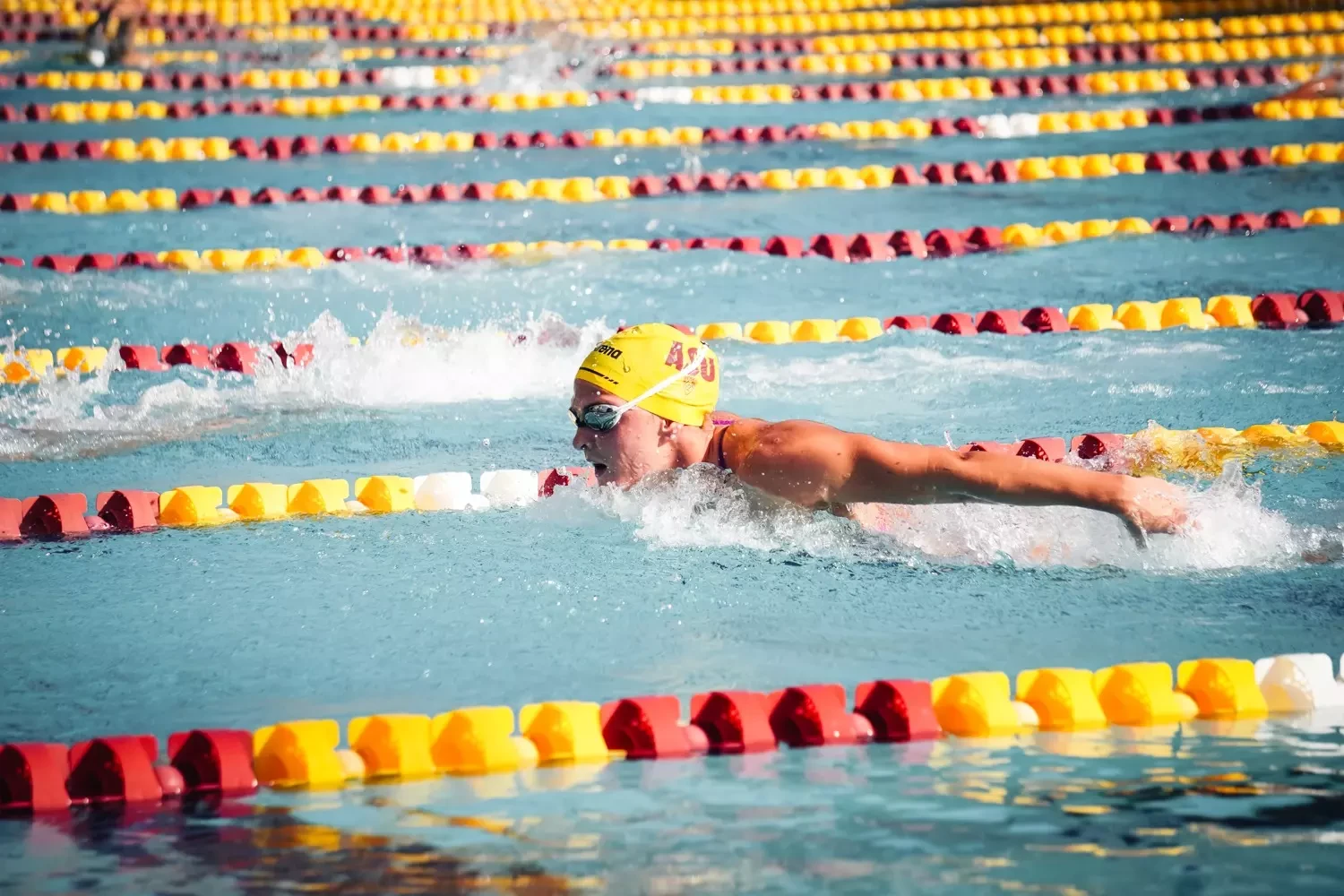 No. 6/18 Swim and Dive welcomes Bay Area Schools for Top-20 Tri-Meet ...