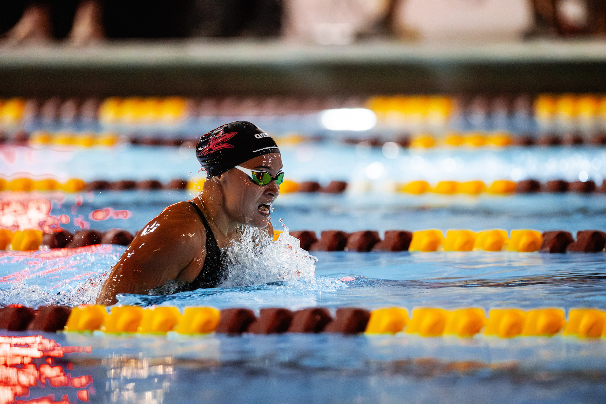 Second annual All-Arizona Invite up next for No. 3/18 Swim and Dive on ...